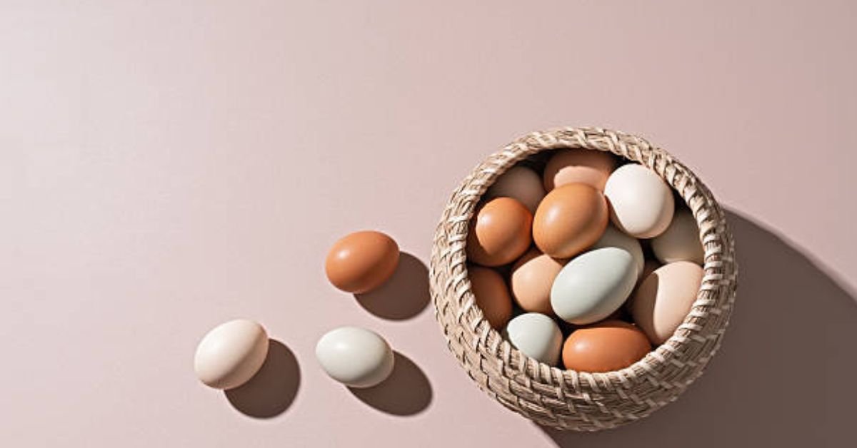 Best Substitute for Eggs: A Review of Top Options